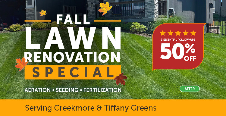 Lawn Care Services Olathe | Custom Lawn